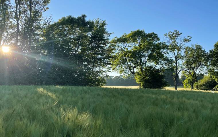 Das Gut Oehe - Gut Oehe