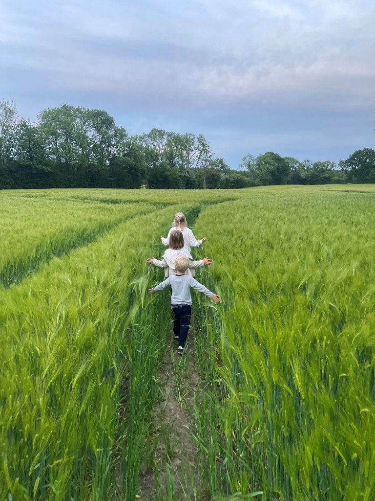 Das Gut Oehe - Gut Oehe