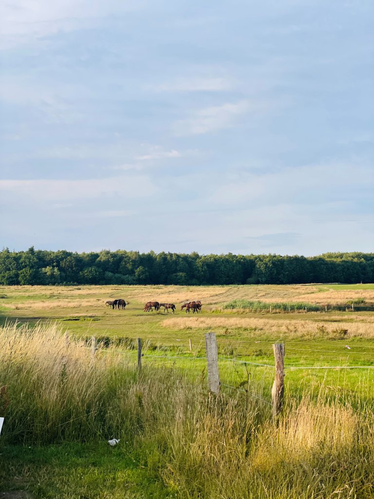 Impressionen - Gut Oehe